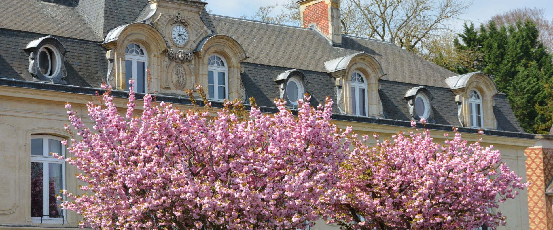Accueil | Ville de Parmain
